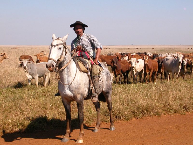 Gaucho dans la Pampa - Le Blog Altiplano Voyage